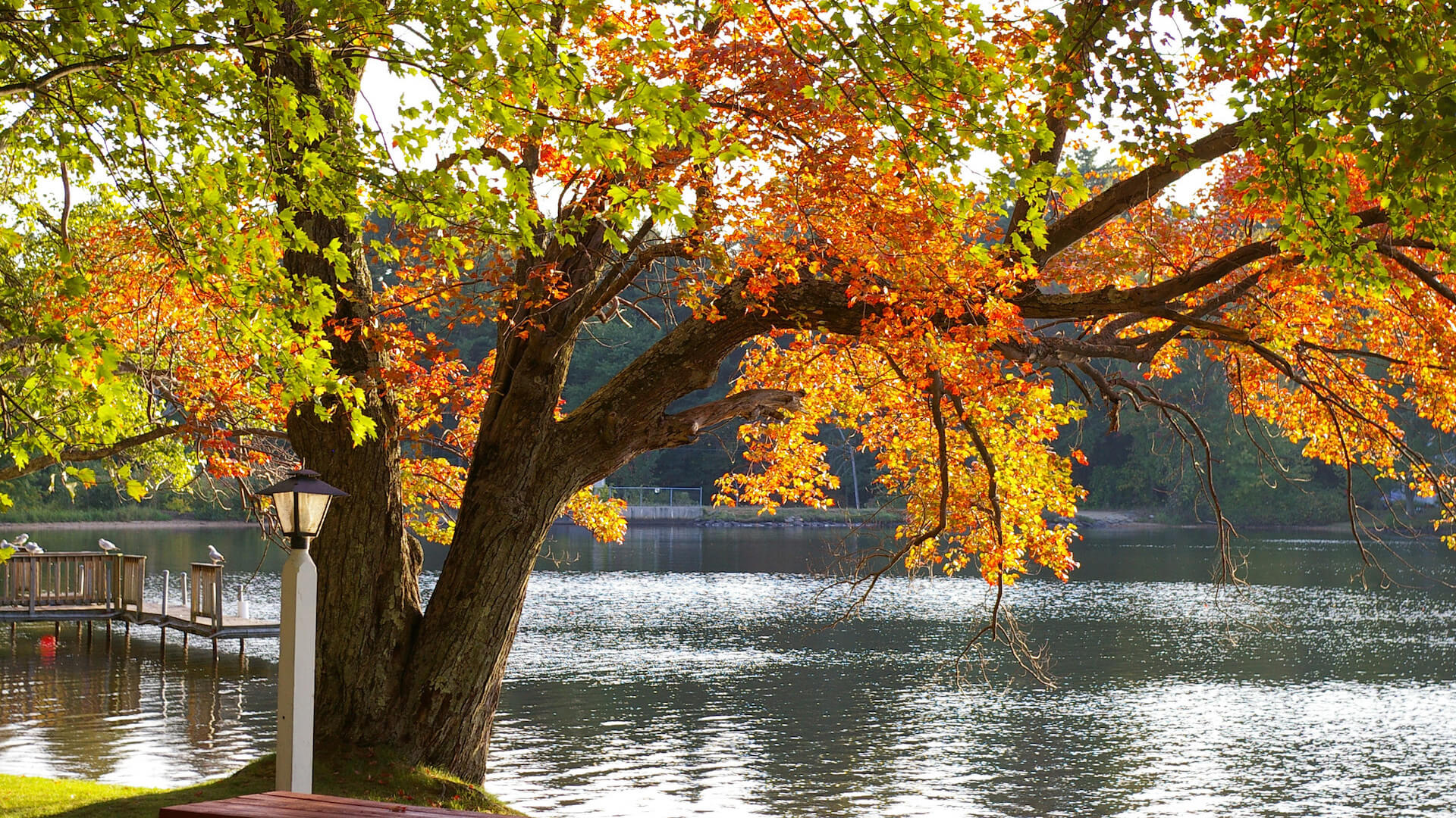 Top Attractions & Hidden Gems in Central MA | KMA