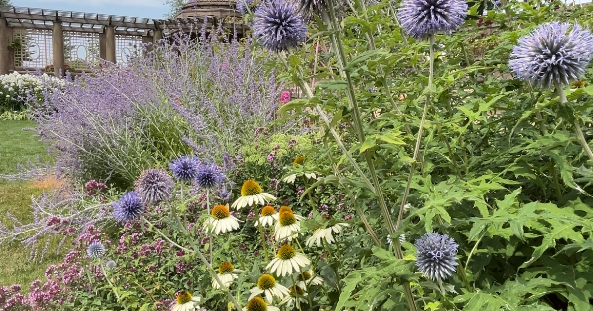 Where to See Spring Flowers in Massachusetts